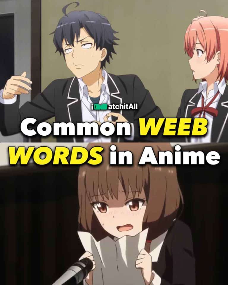50+ Common Weeb Words You Hear In Anime! • iWA